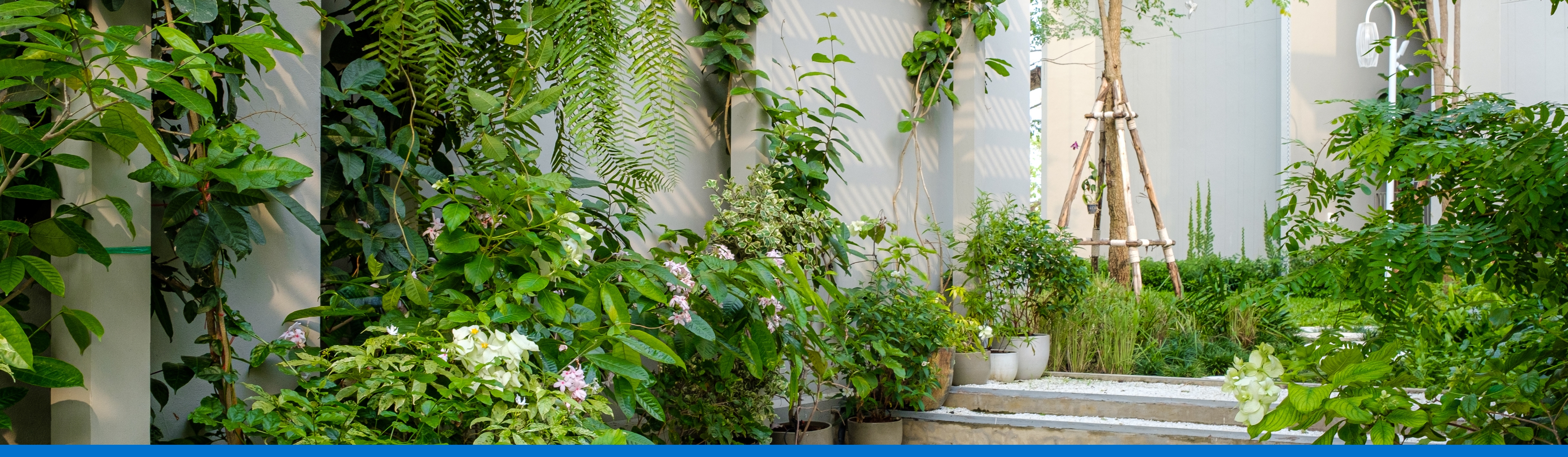 Ideas fáciles para decorar tu patio interior | Homecenter